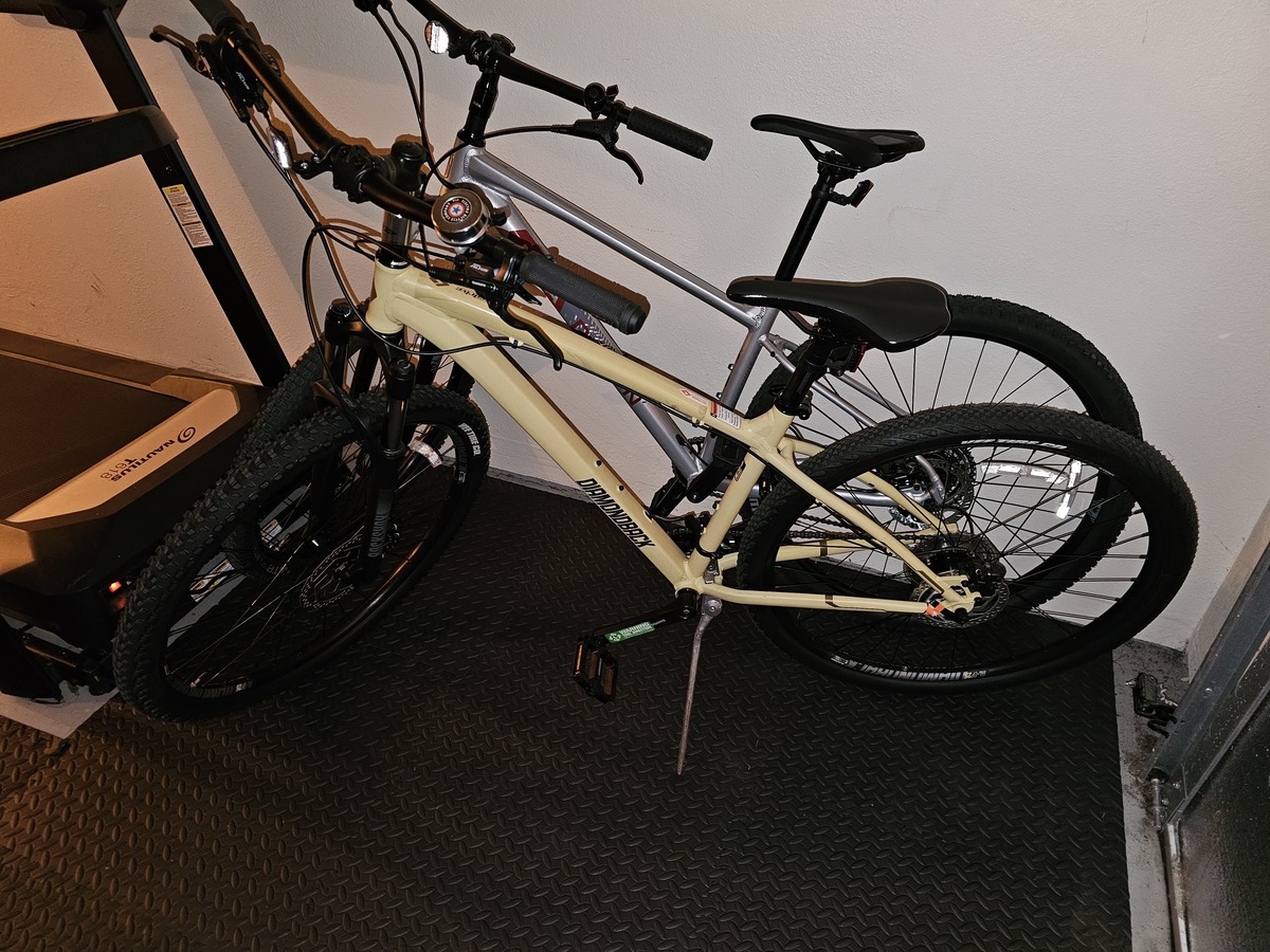 Stolen 2021 Diamondback Overdrive 29.2