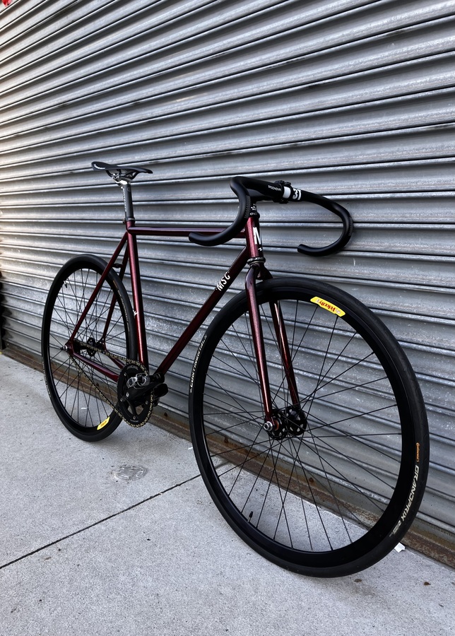 2016 MSC Trackster