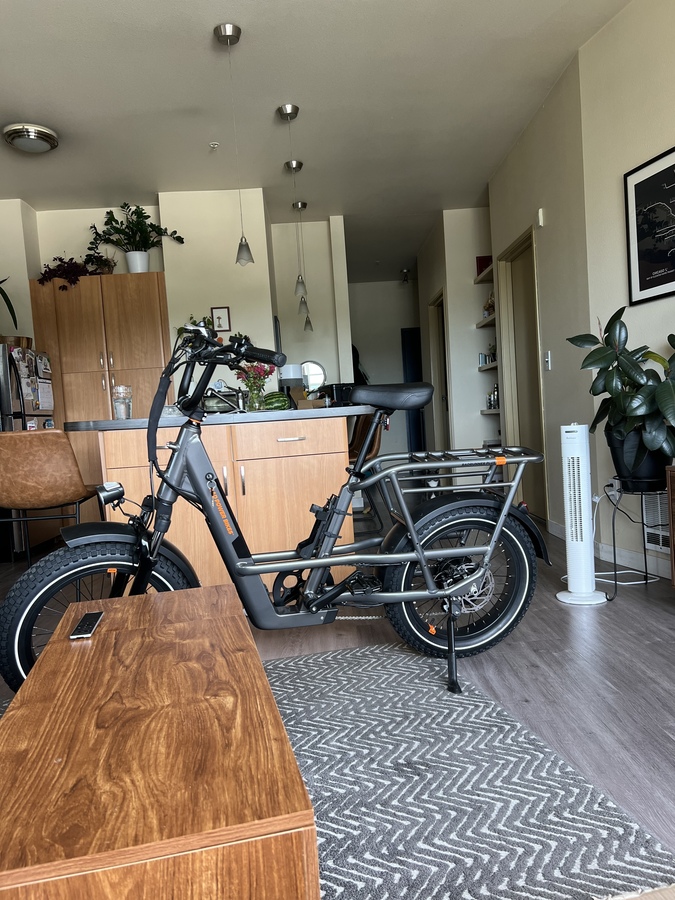 2023 Rad Power Bikes Rad Runner Plus 3