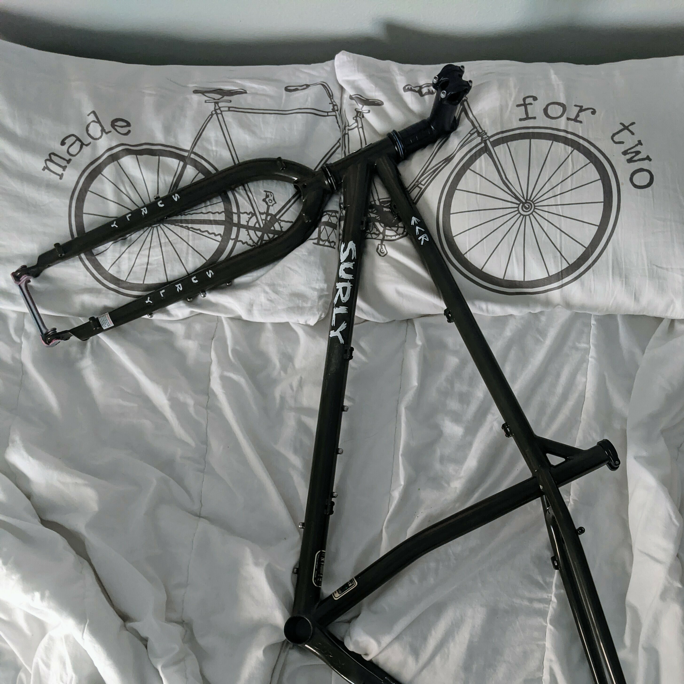 2014 Surly ECR