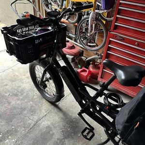 2022 Rad Power Bikes Radwagon 4