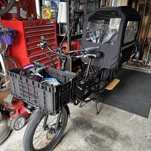 2022 Rad Power Bikes Radwagon 4