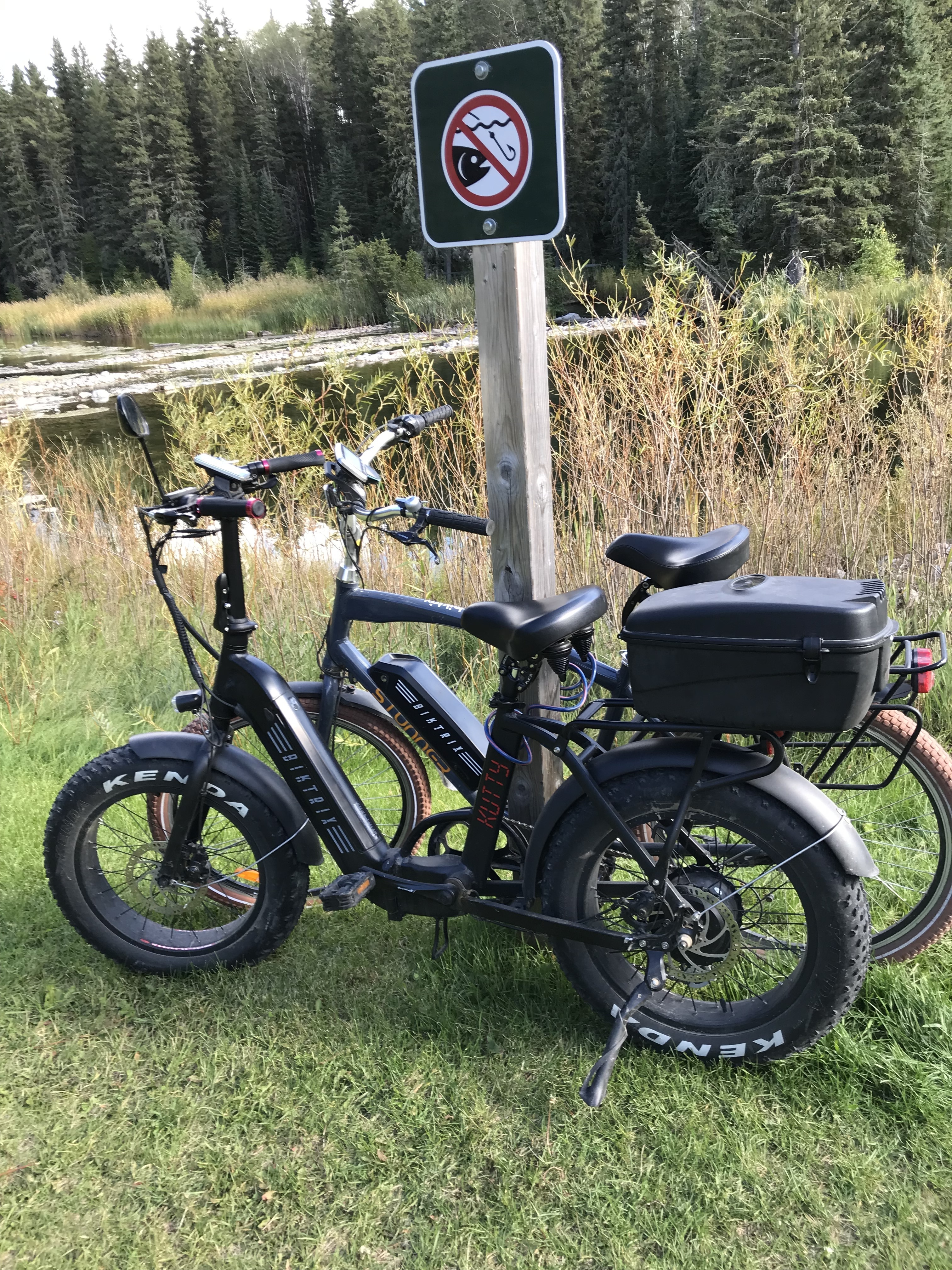 Stolen Biketrix Kutty LT Folding bike