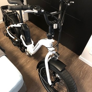 2022 Rad Power Bikes RADEXPAND 5