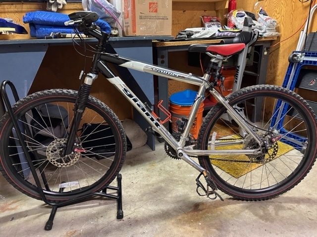 2010 Giant Rainier se