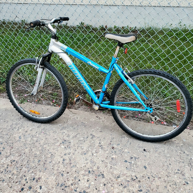 Stolen Infinity Cycle Works Premier