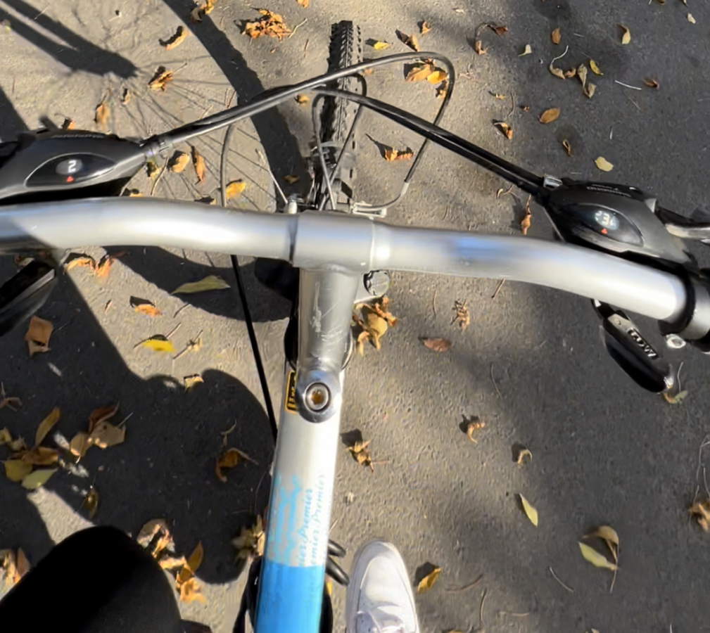 Stolen Infinity Cycle Works Premier