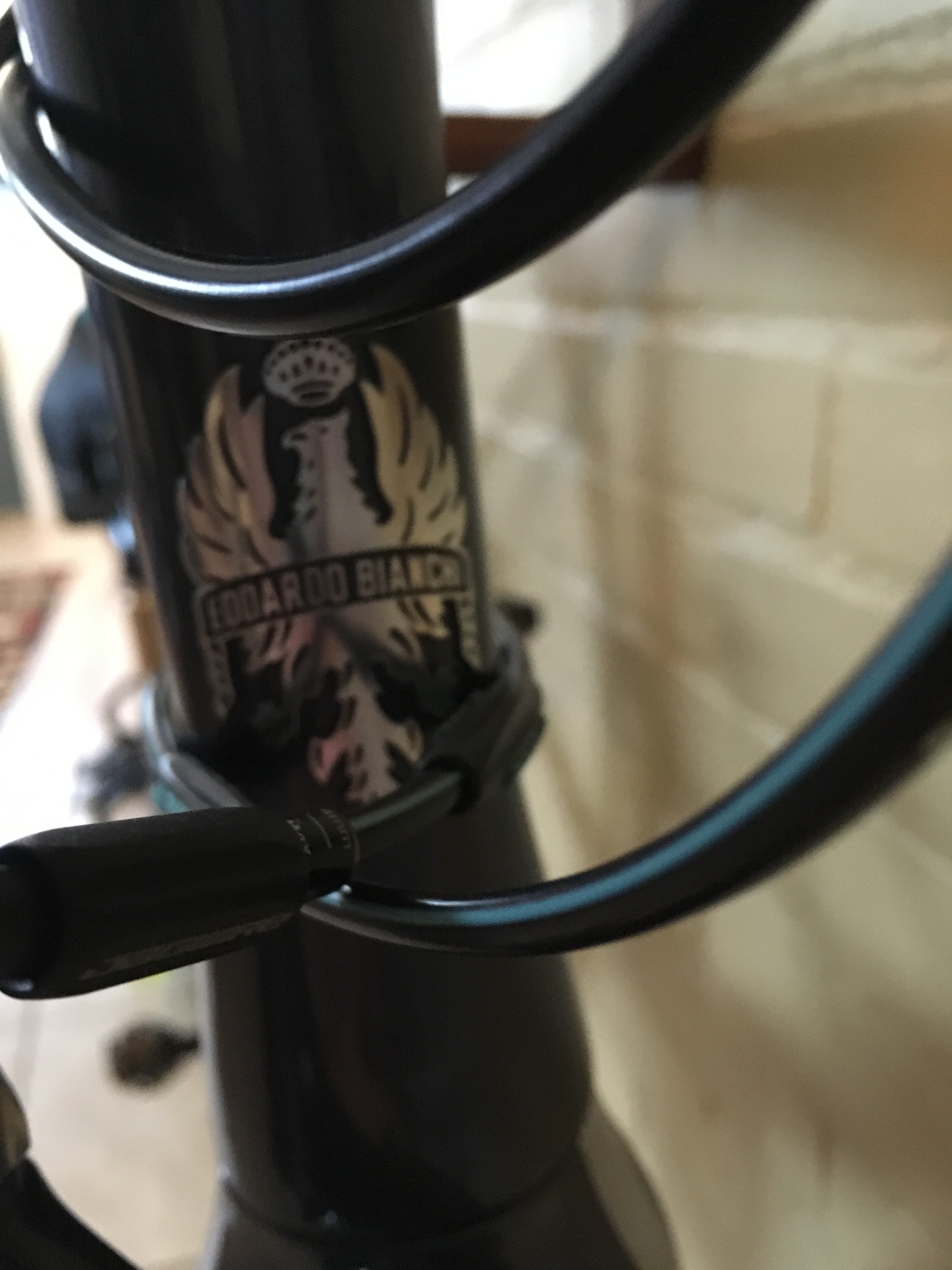 2016 Bianchi Intrepida
