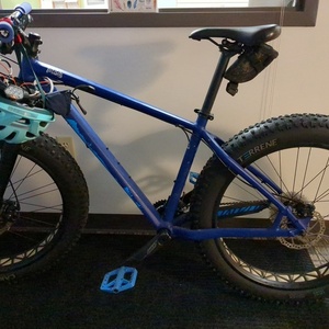 2016 Specialized FatBoy