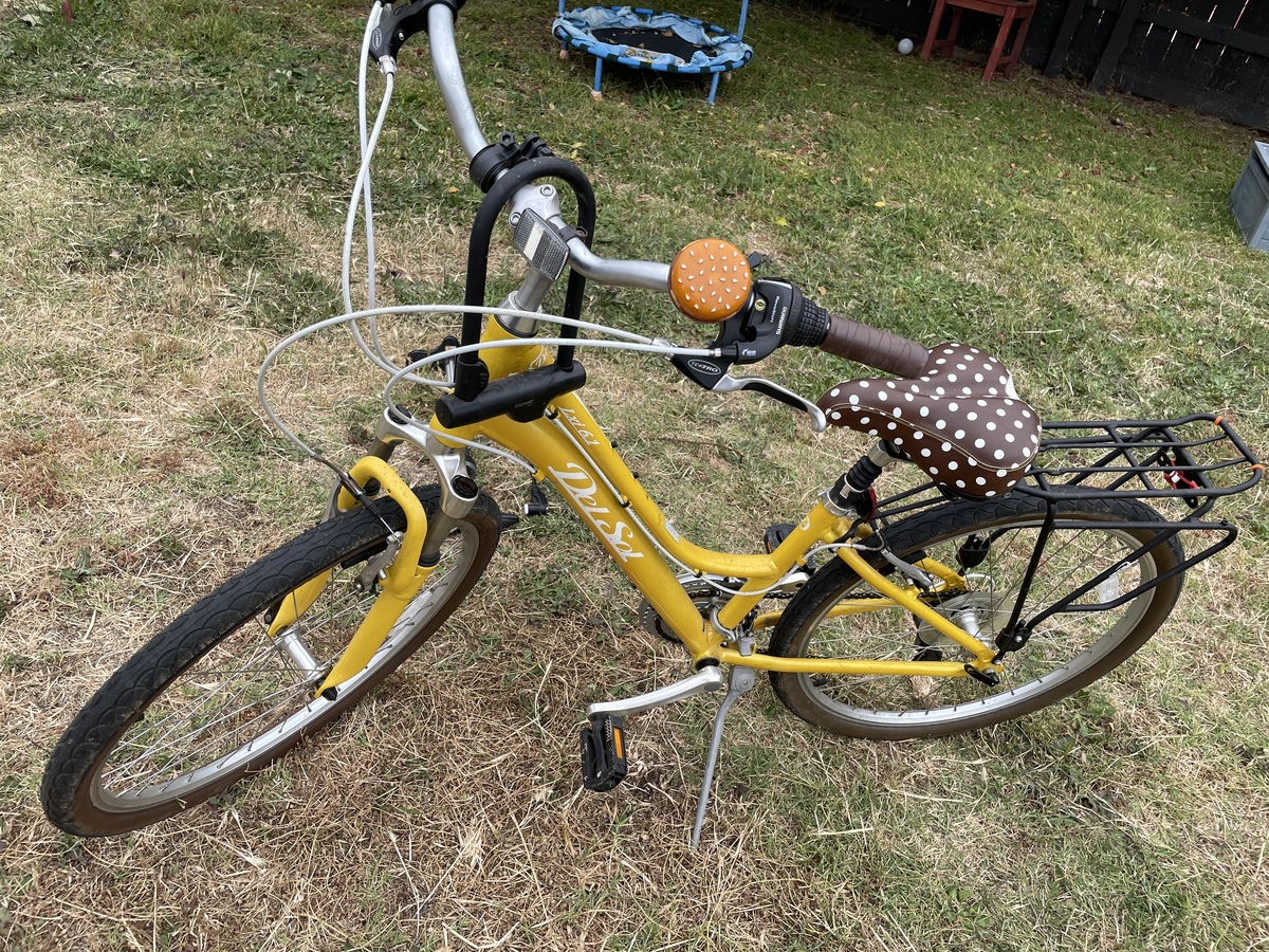 Del Sol Recreational