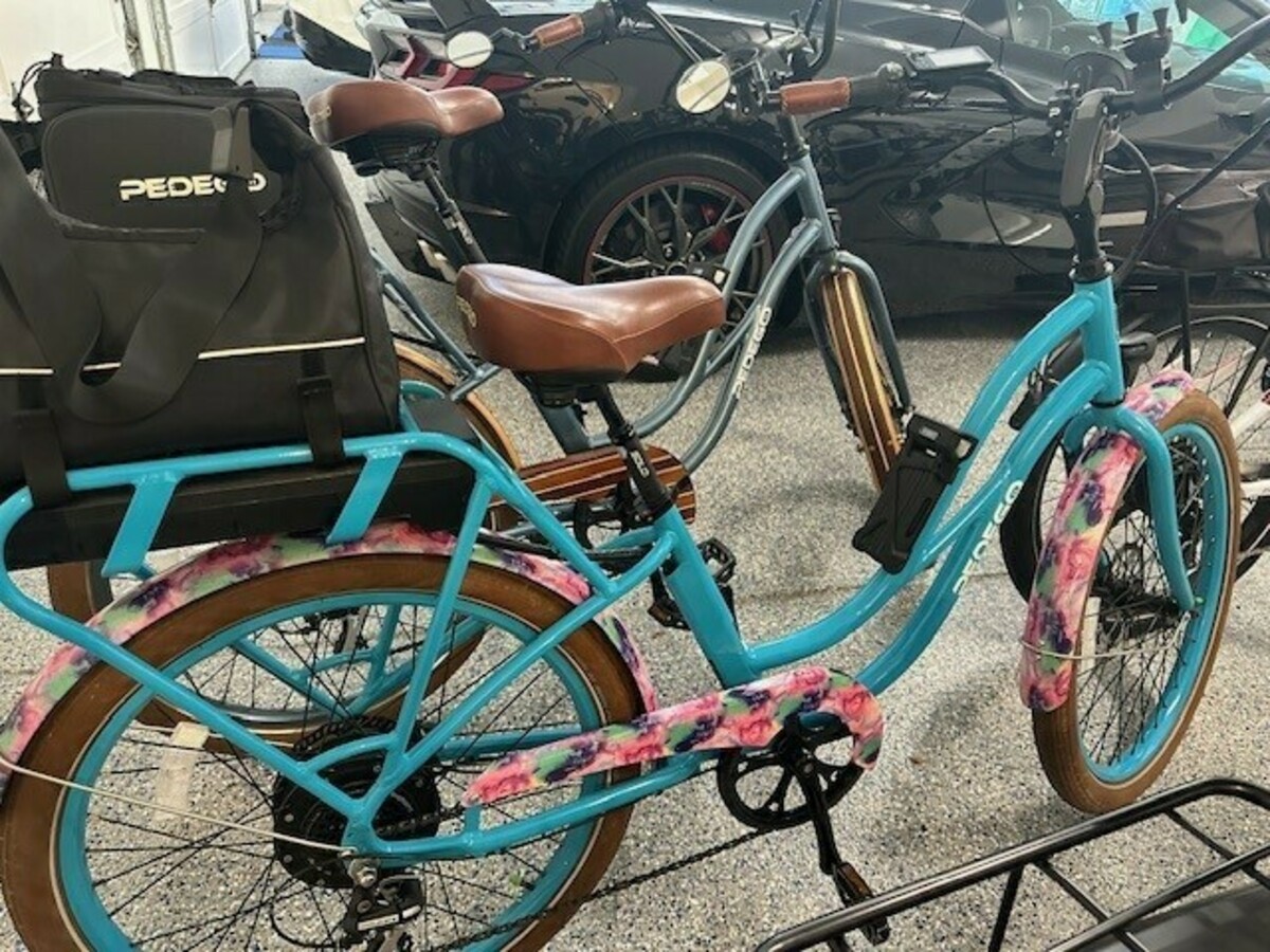 2022 Pedego Interceptor Step Thru