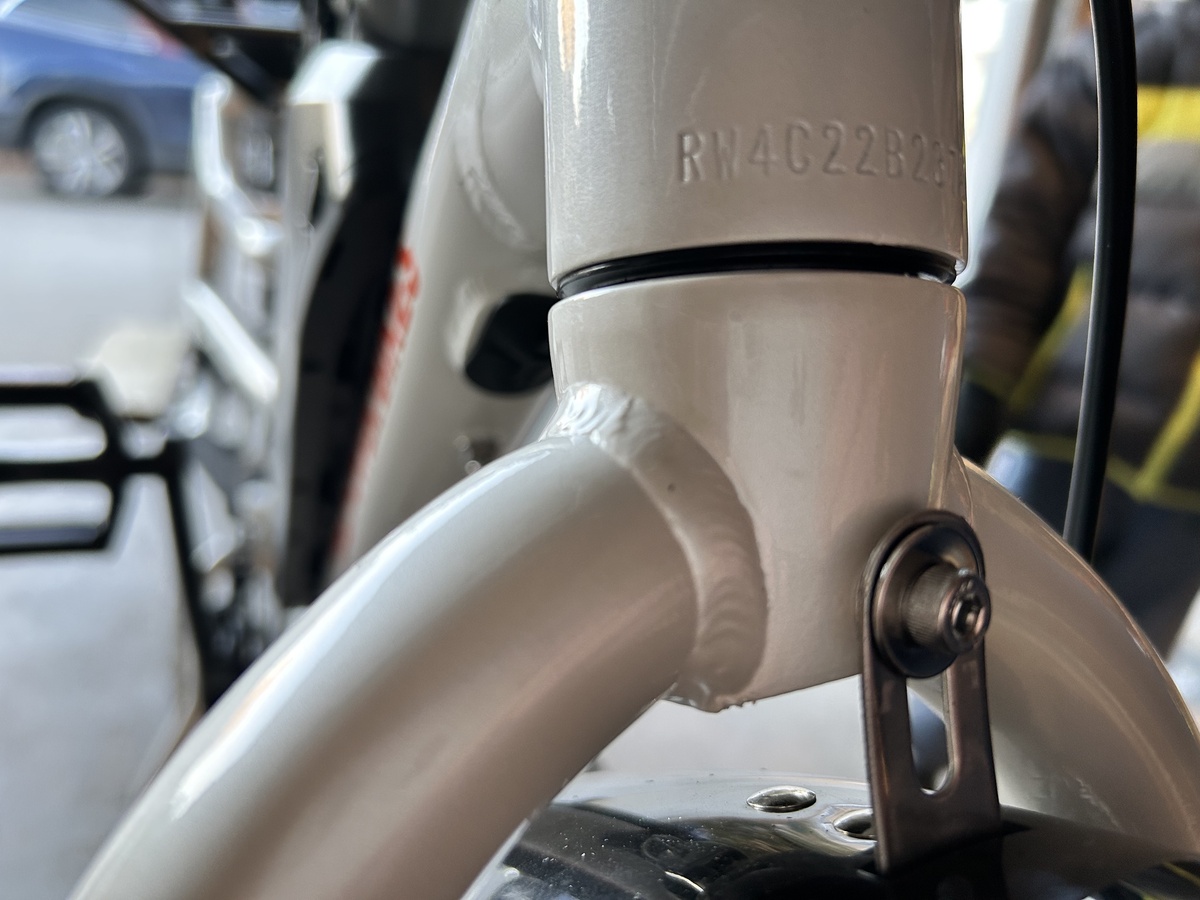 2023 Rad Power Bikes Radwagon 4 cargo bike