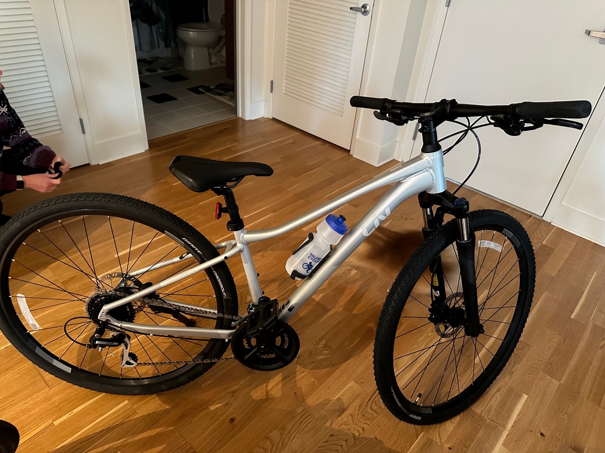 2022 Liv Rove 3 Disk