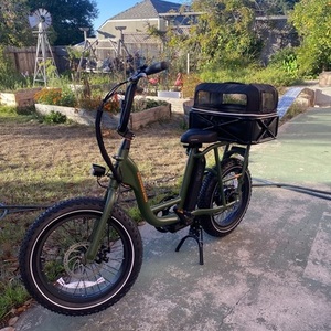 2023 Rad Power Bikes Rad Runner 2 cargo bike rear