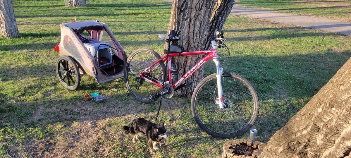 2012 Trek Cobia
