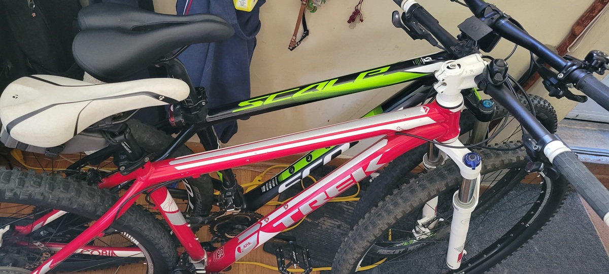 2012 Trek Cobia