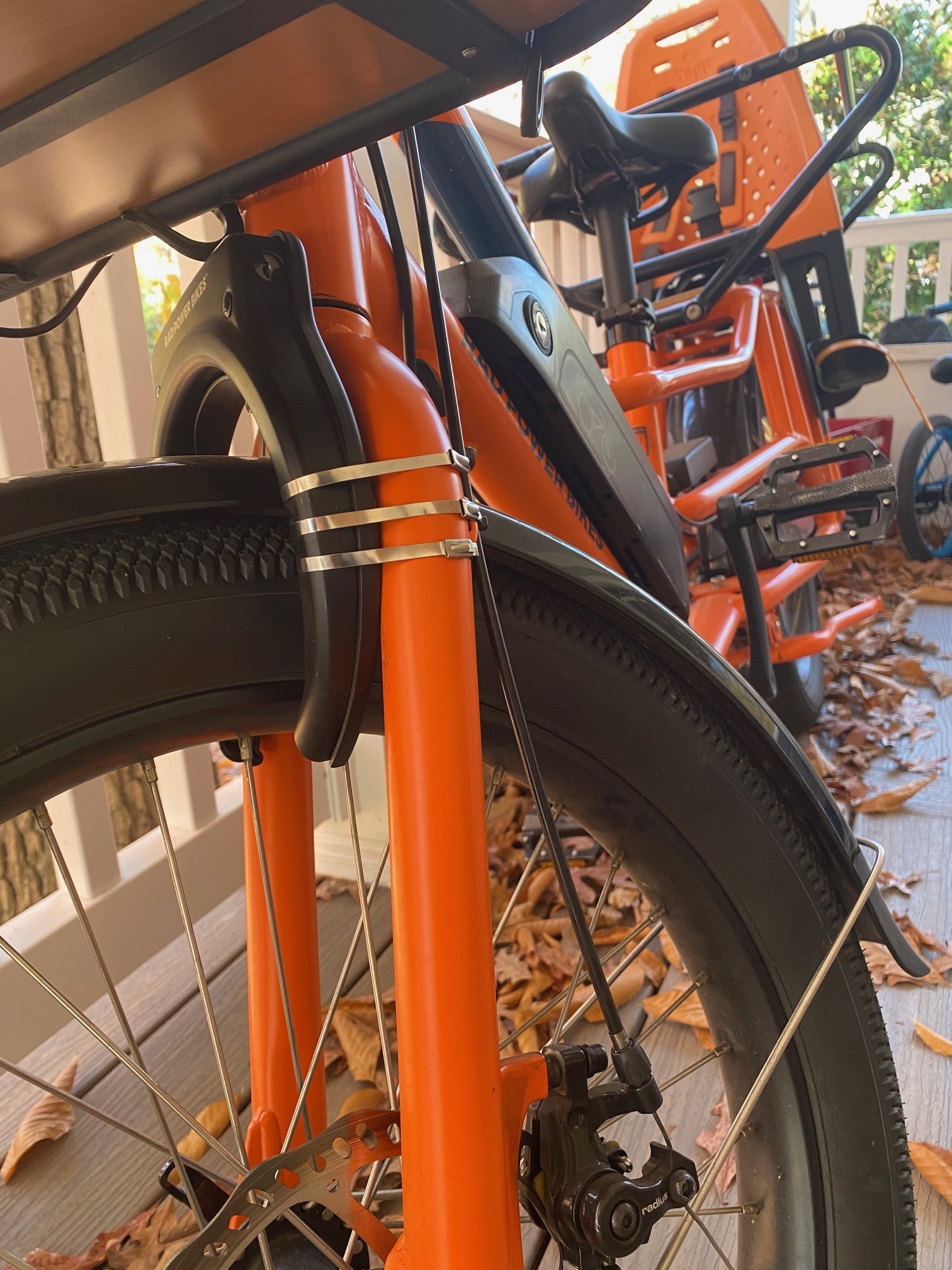 2021 Rad Power Bikes Radwagon 4