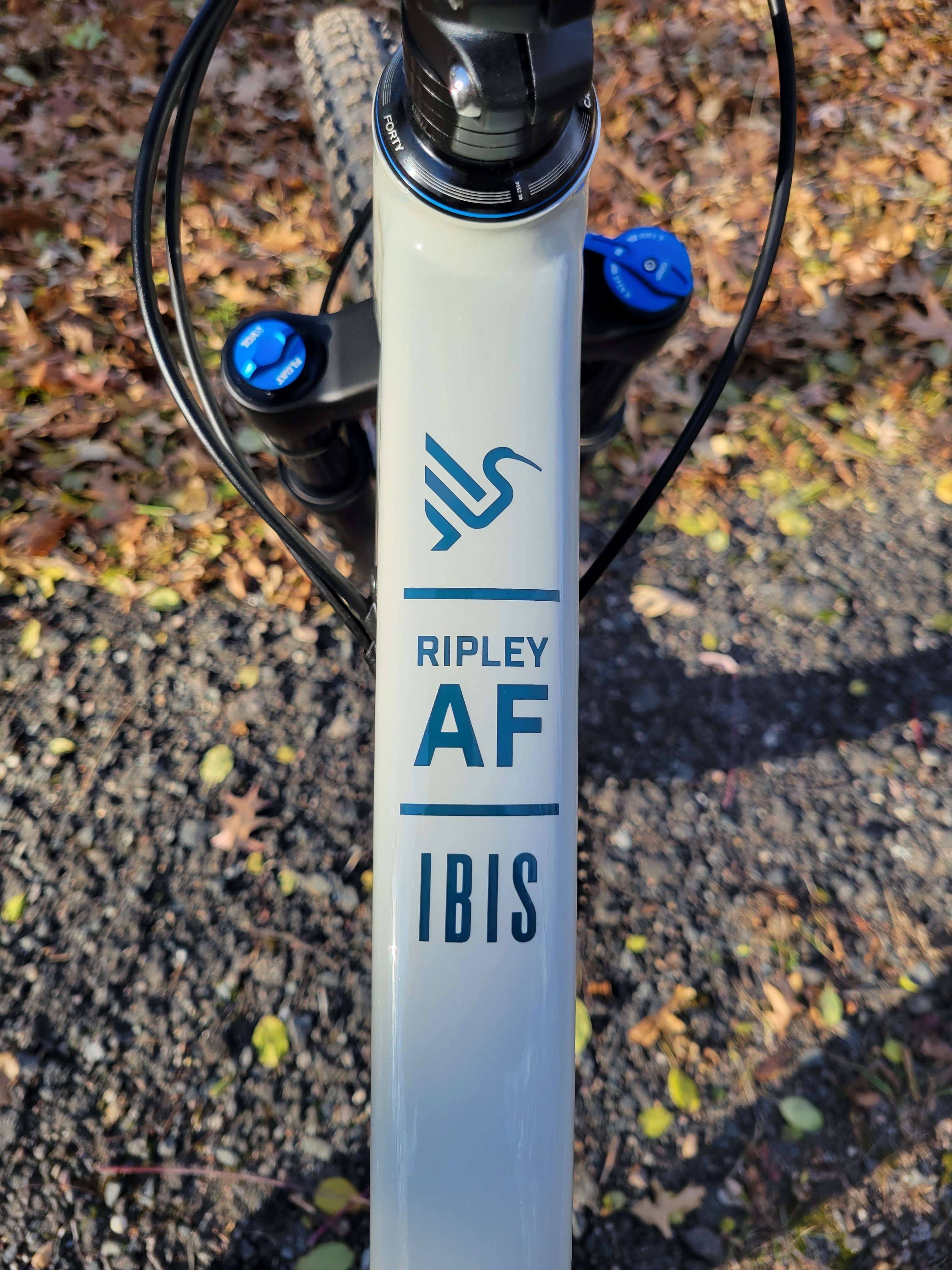 2023 Ibis Ripley AF Size 3/Large Protein Shake ...