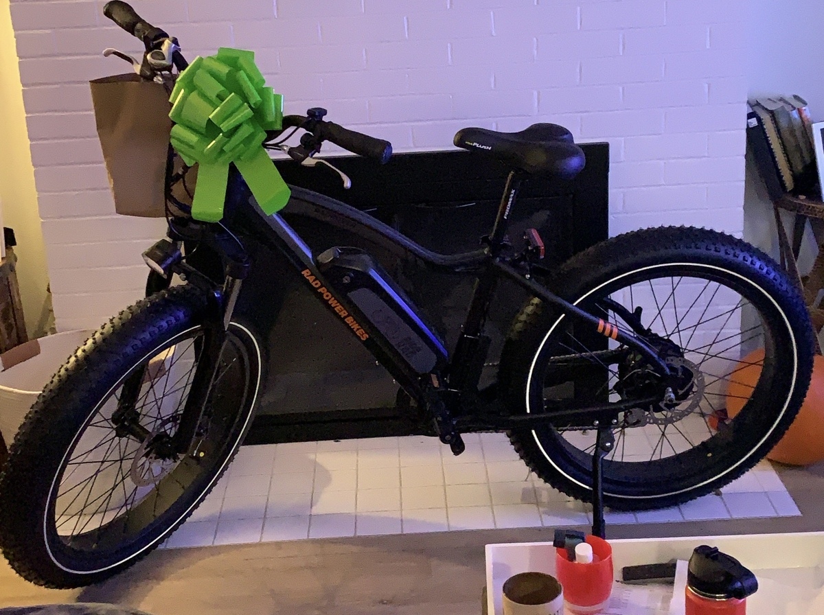 Stolen 2019 Rad Power Bikes Rad Rover