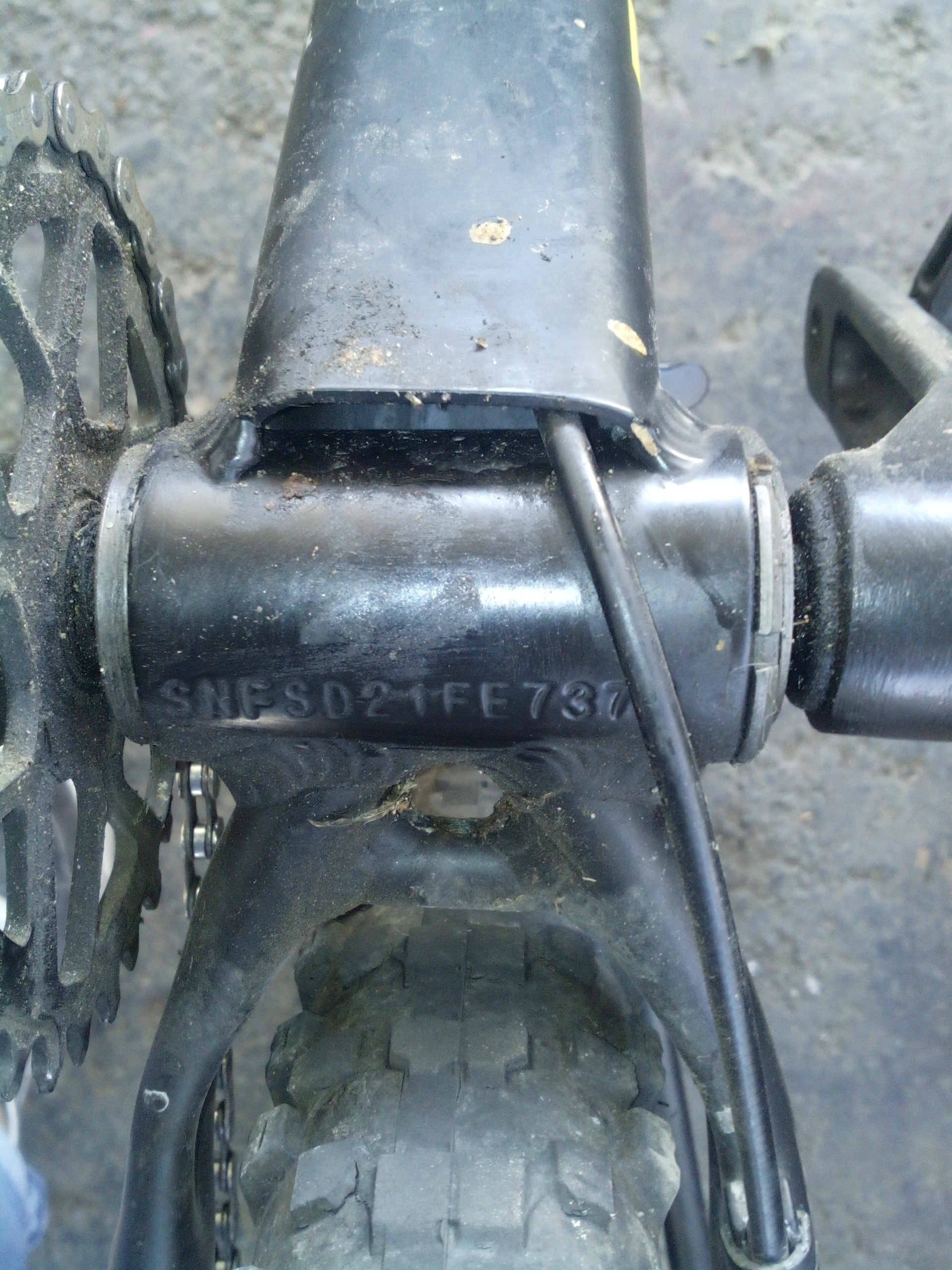 2022 Schwinn Acenion