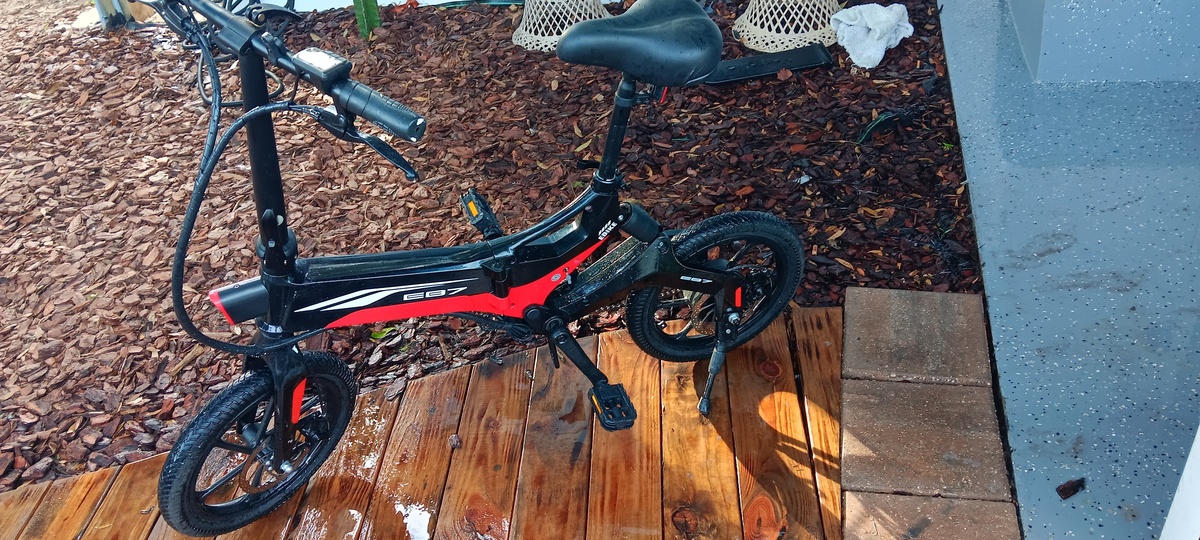2021 Swagtron Eb7