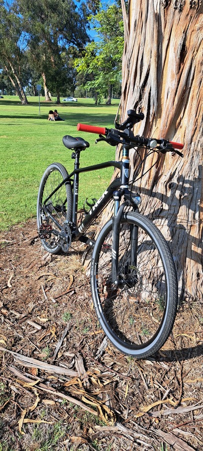 Trek 8.4 DS
