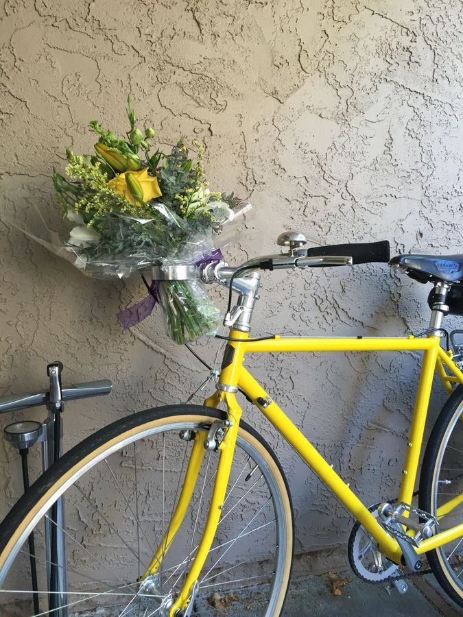 2016 Handsome Cycles Devil city build