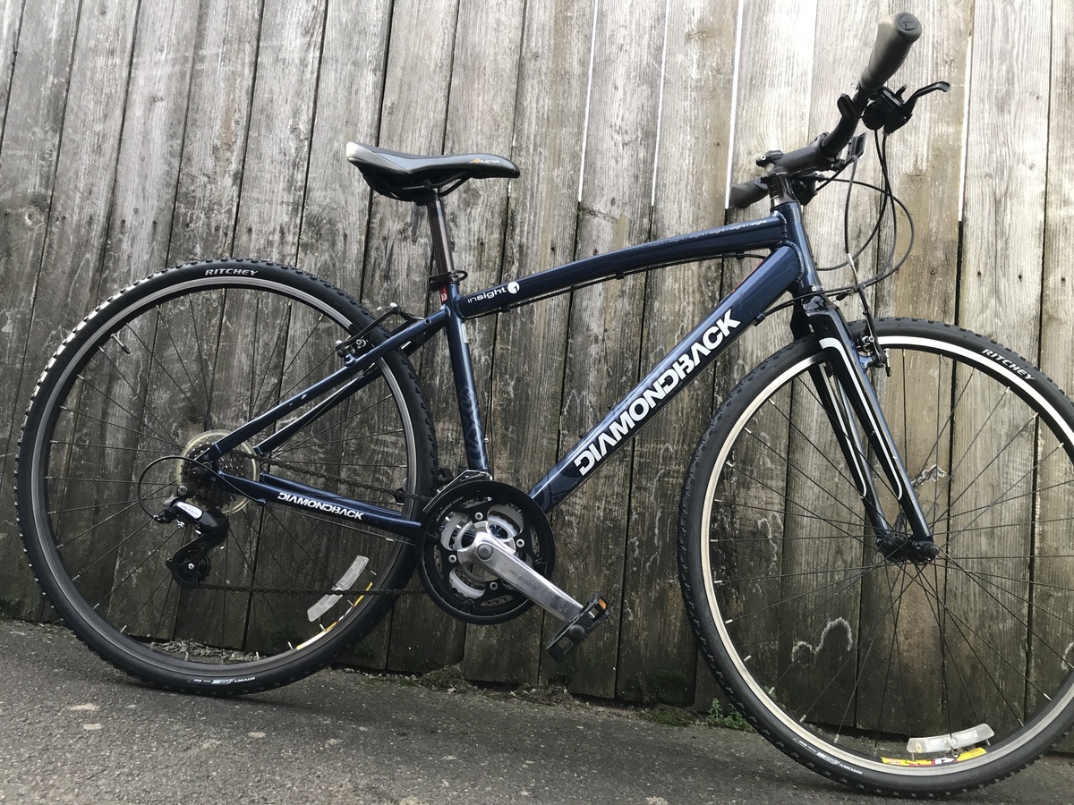 2009 Diamondback Insight 1