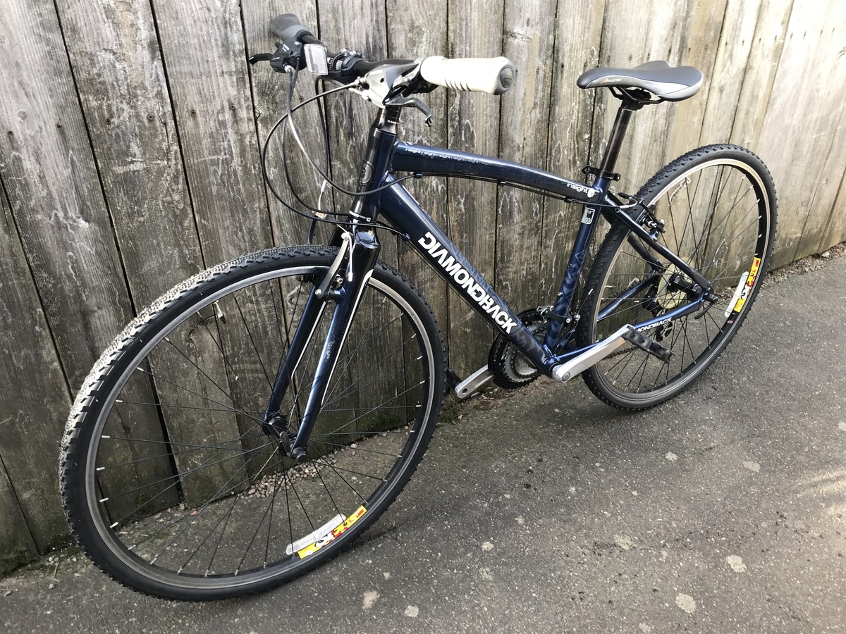 2009 Diamondback Insight 1