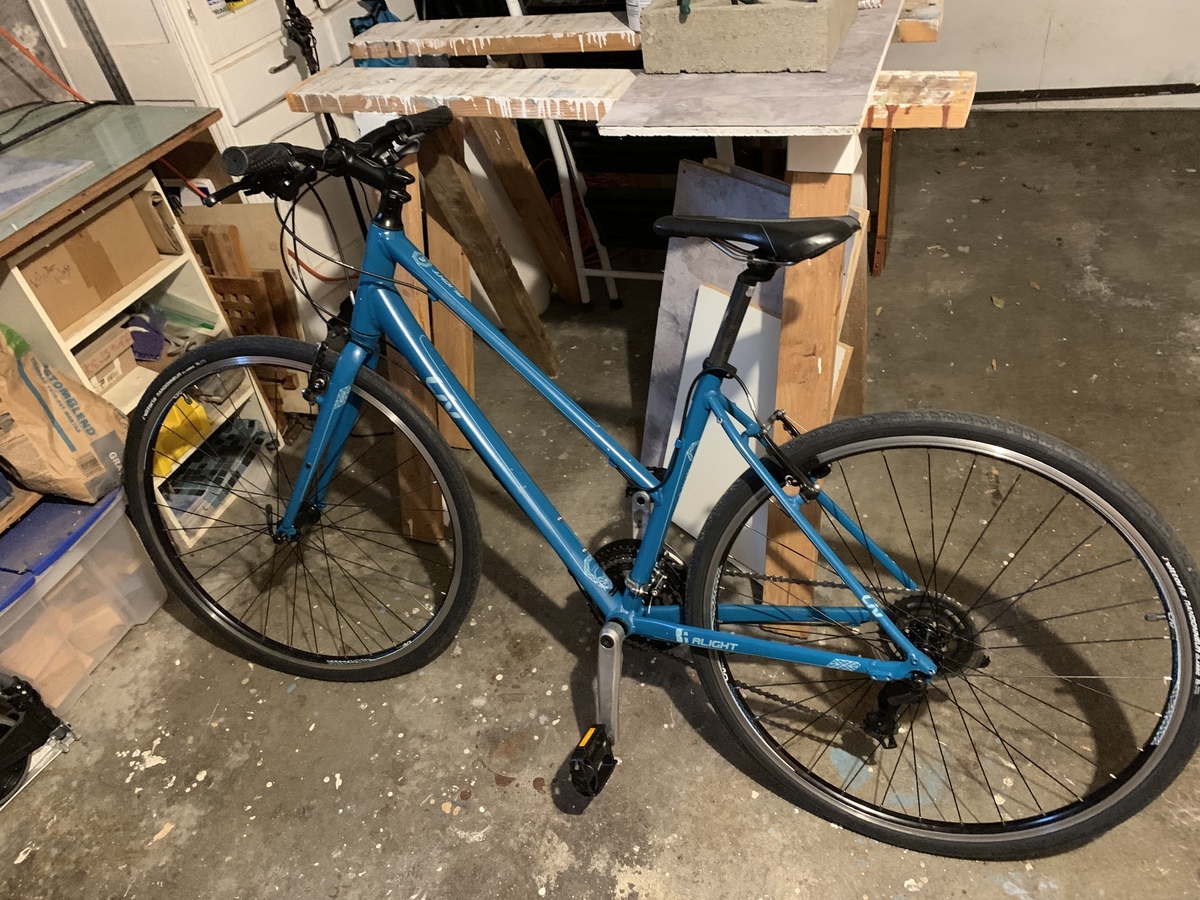 Giant Liv Alright-18