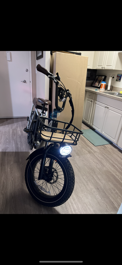 Stolen 2022 Rad Power Bikes RadRunner Plus