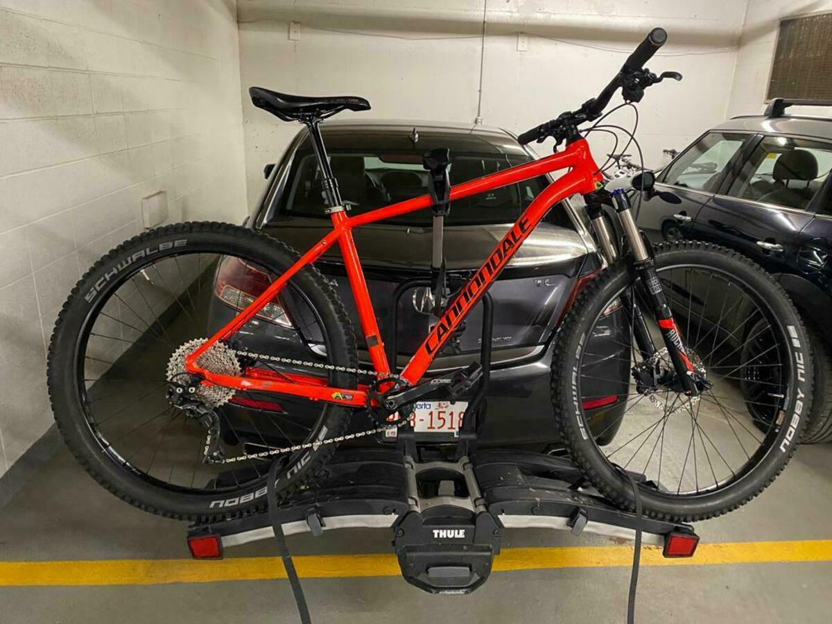 2019 Cannondale Cujo