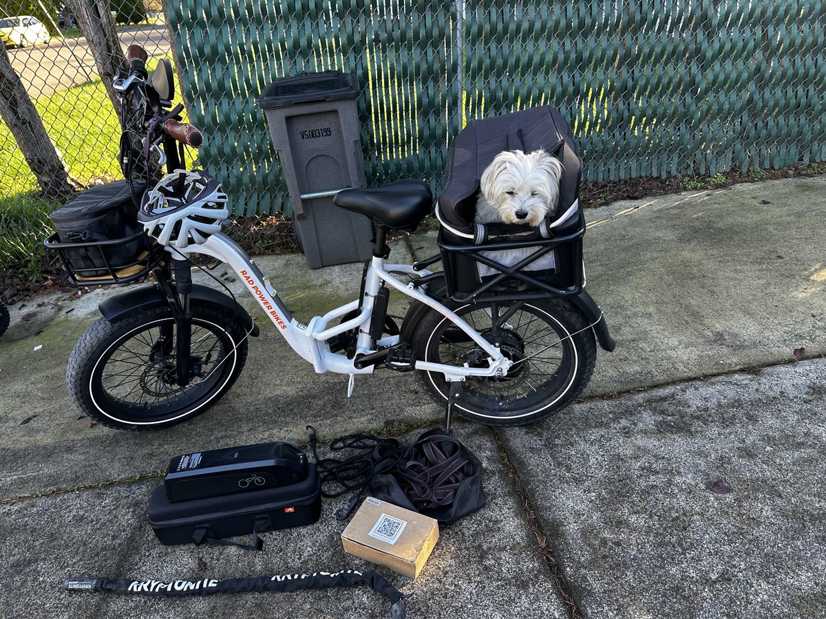 2022 Rad Power Bikes radmini 2