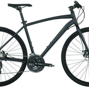 Stolen 2014 Raleigh Misceo 2.0