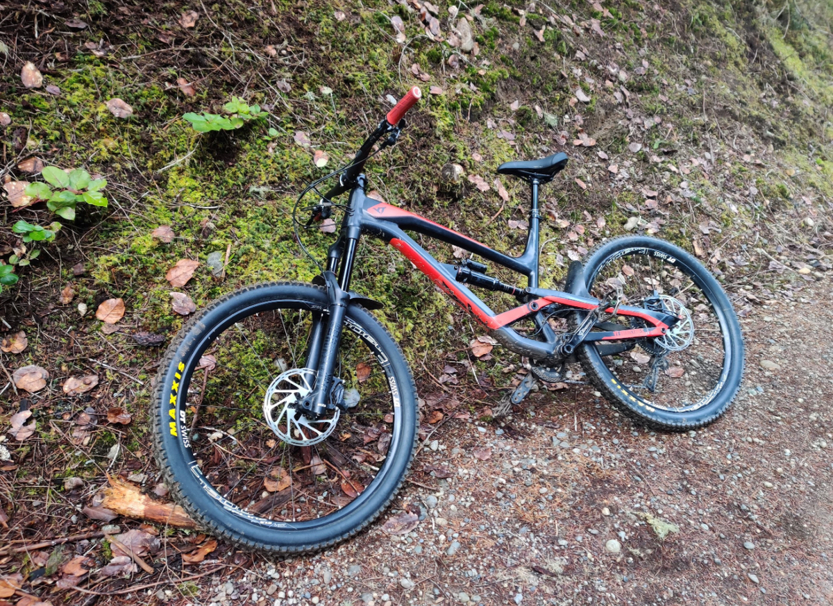 Stolen 2018 YT Capra