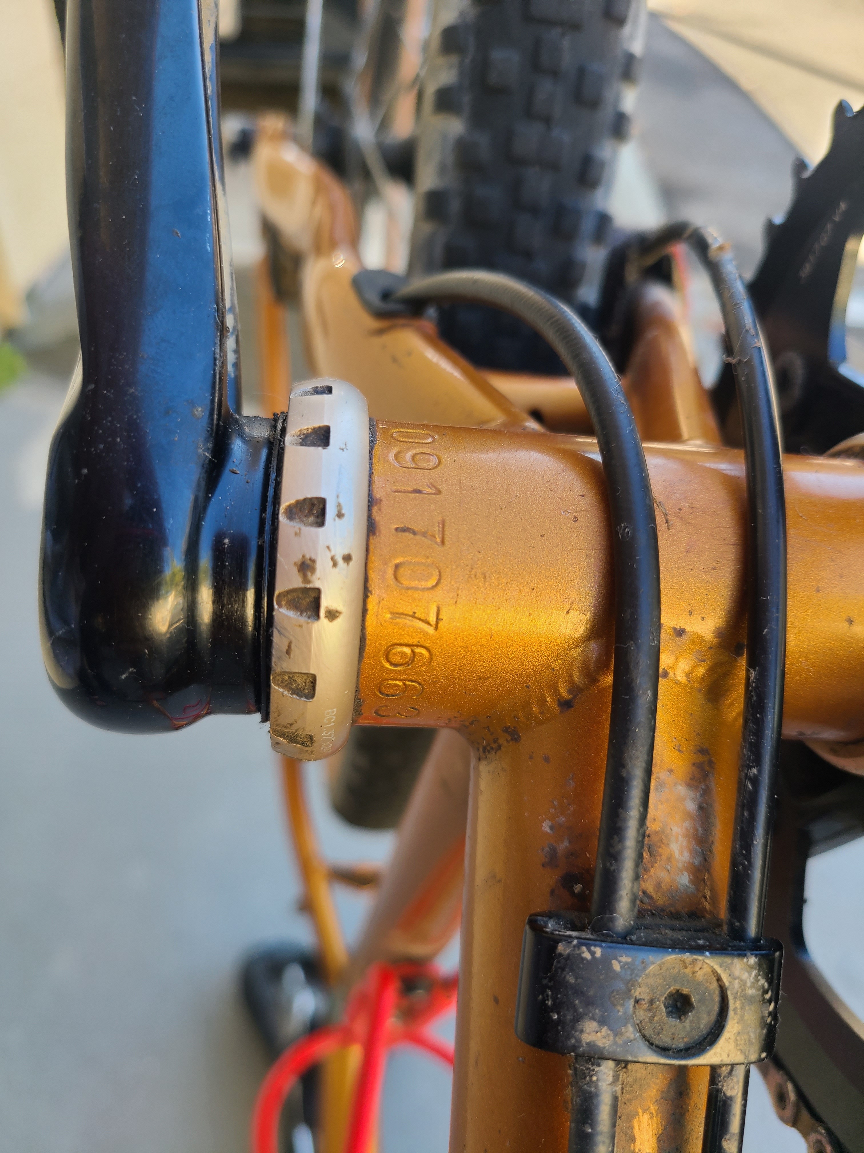 2020 Marin Bikes Four Corners Elite