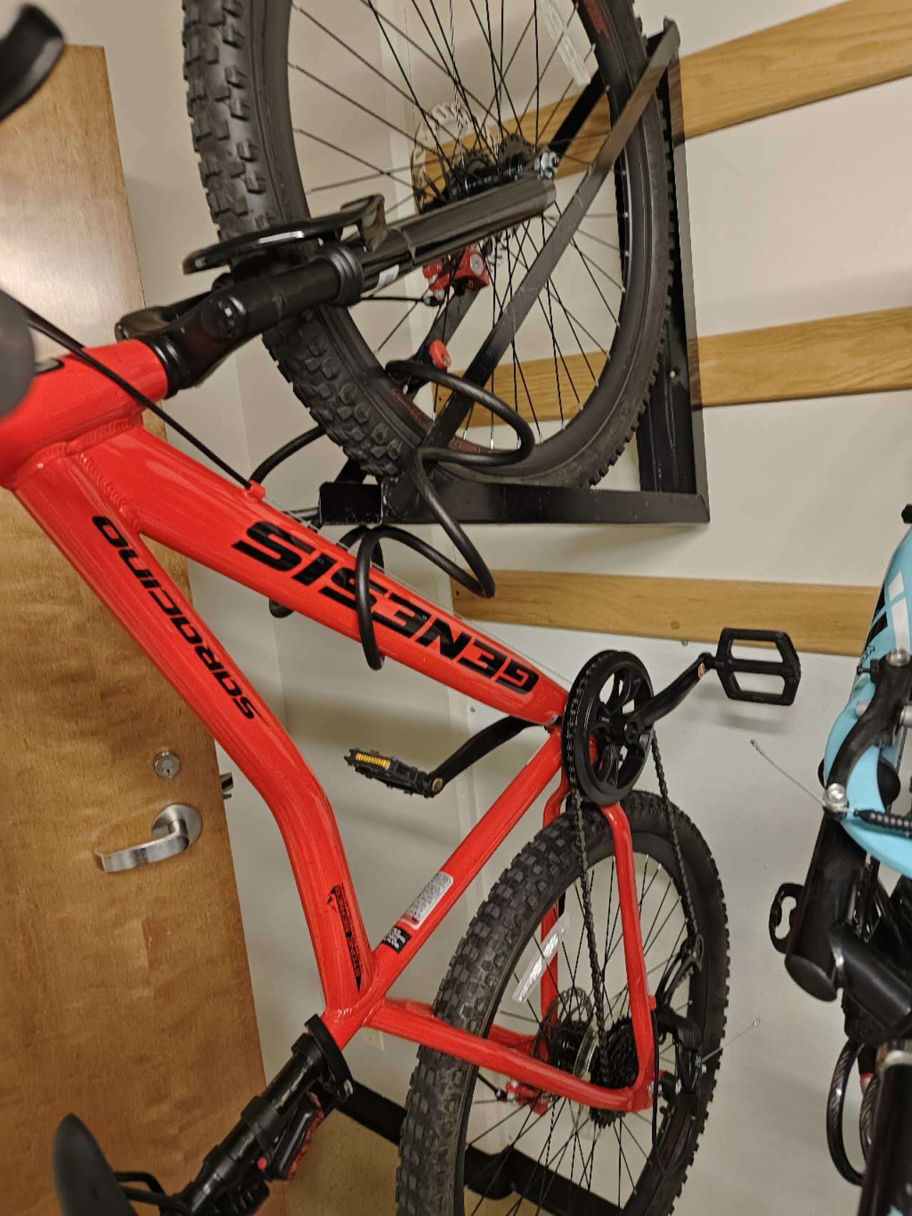 2023 Genesis steel hardtail mountain