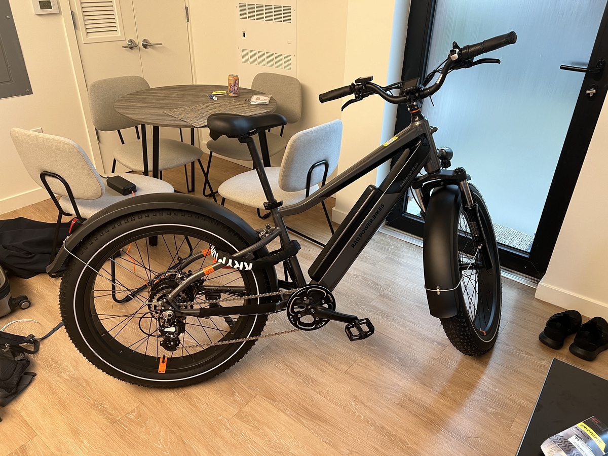 2021 Rad Power Bikes RadRover 6 Plus