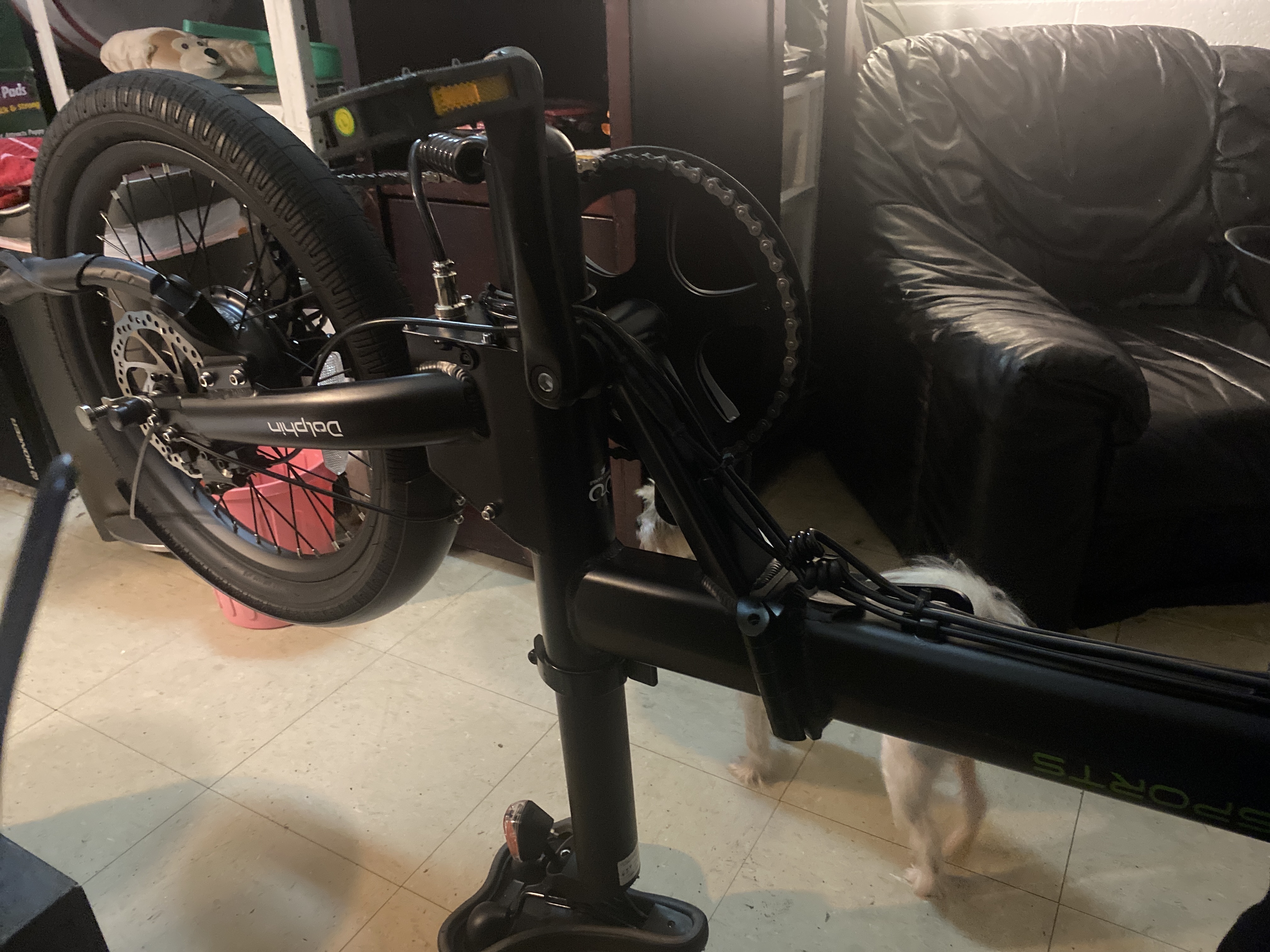 2023 Quadrant Cycle Company Dolphin