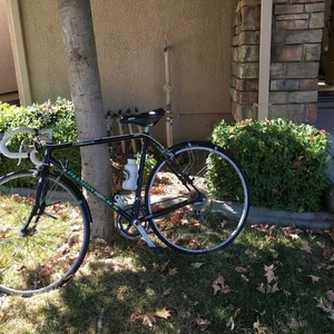 Stolen 1991 Diamondback Interval TG