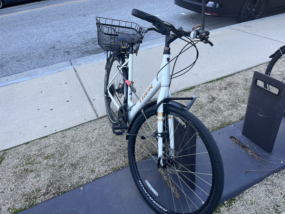 2020 Trek Verve 1