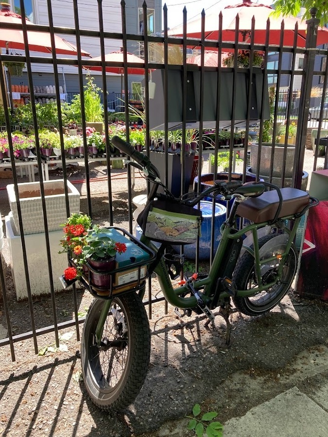 2022 Rad Power Bikes Radrunner 2 cargo bike rear
