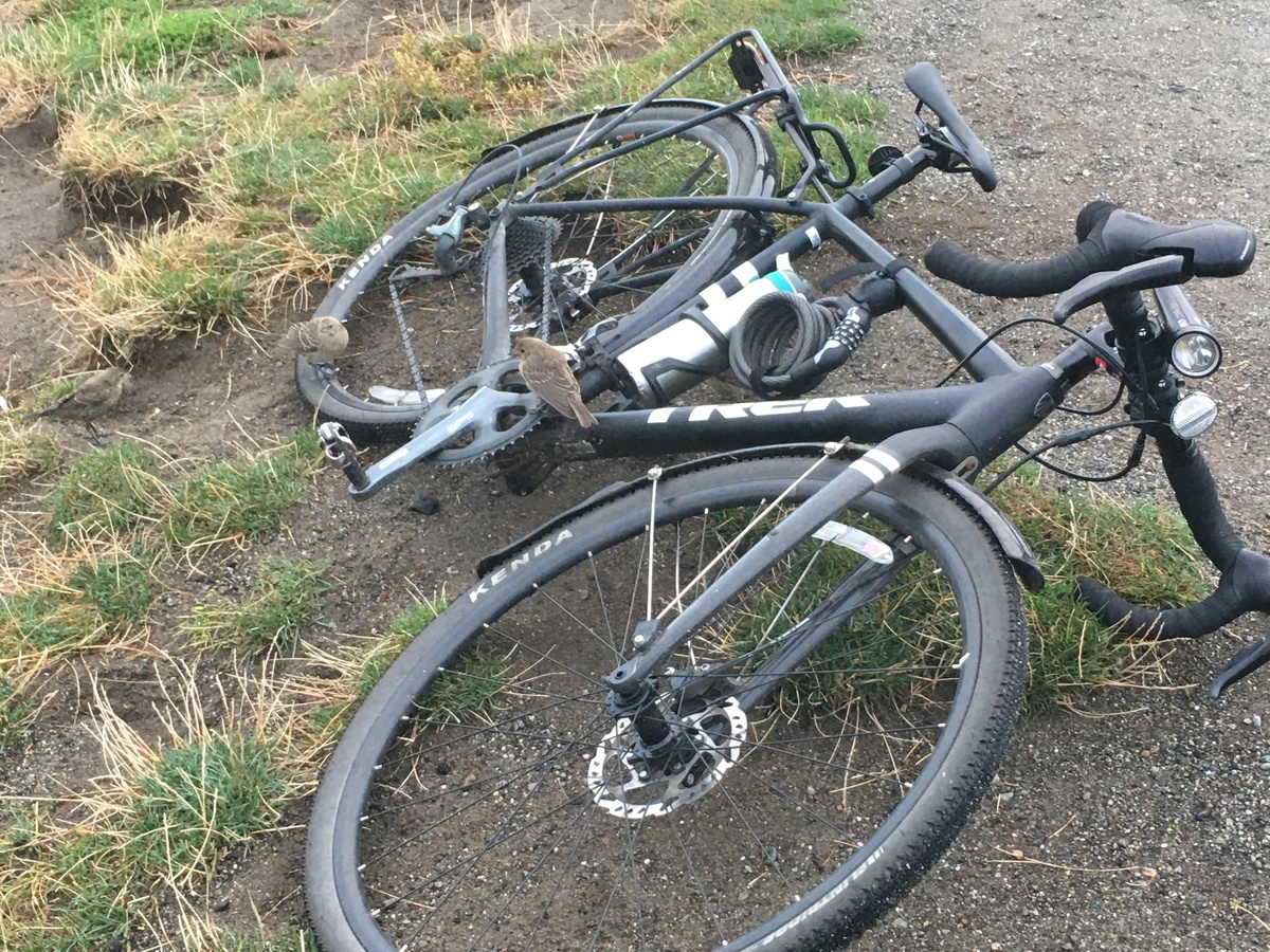 2018 Trek Checkpoint