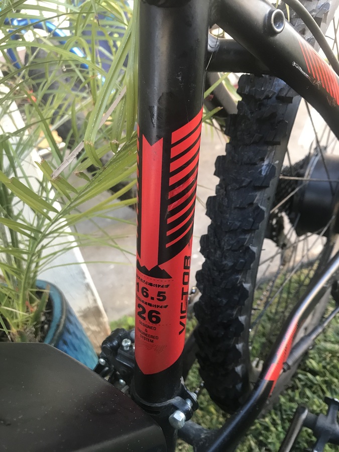 Totem Electric Bike Víctor e-skateboard