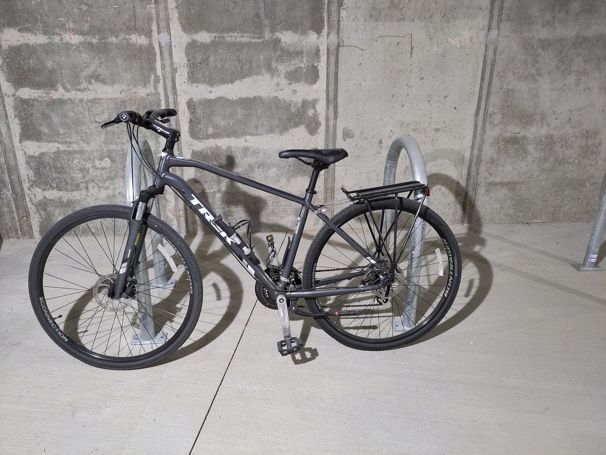 2020 Trek Dual Sport 1