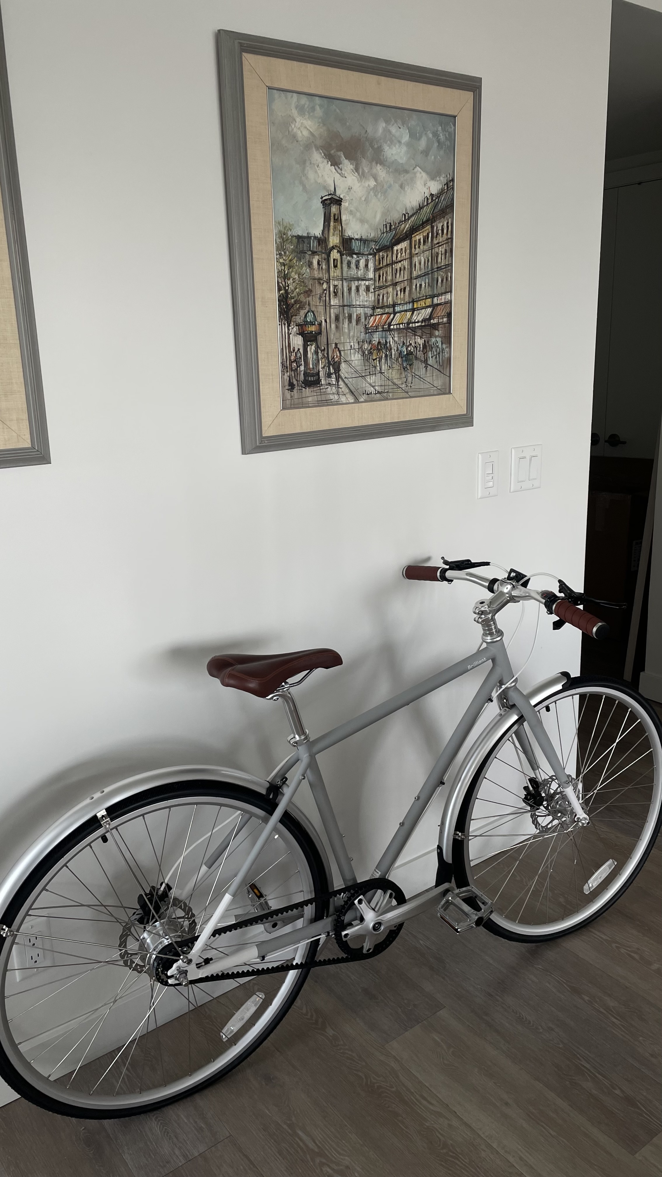 Brilliant Bicycle L Train