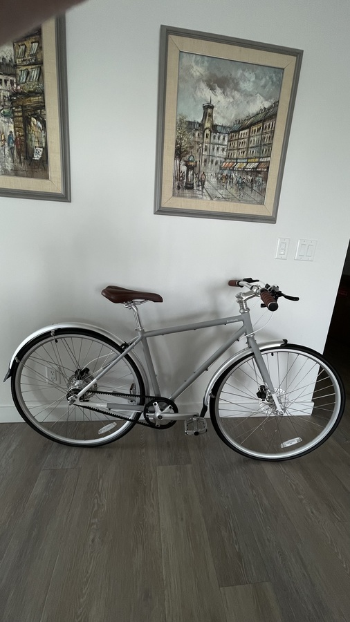 Brilliant Bicycle L Train