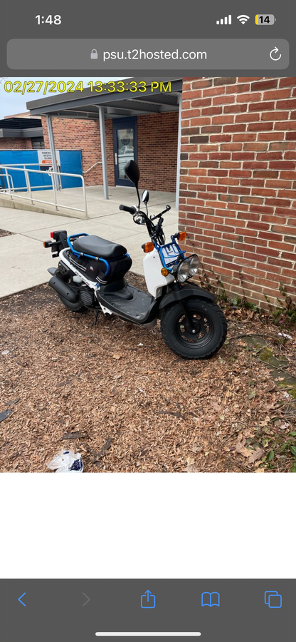 2022 Honda Ruckus