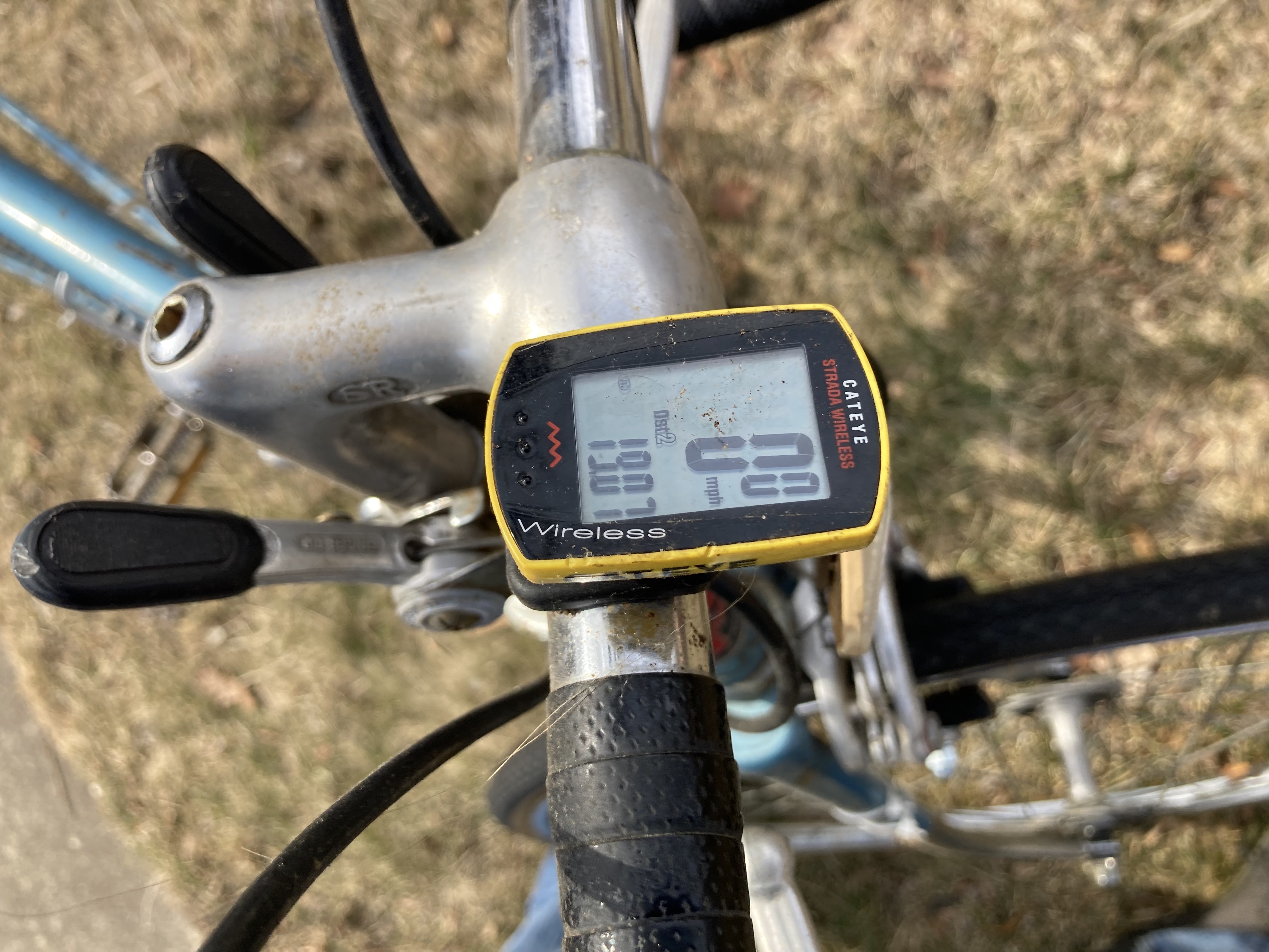 1981 Soma cosmopolitan