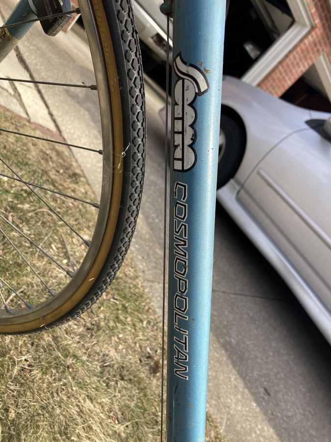 1981 Soma cosmopolitan